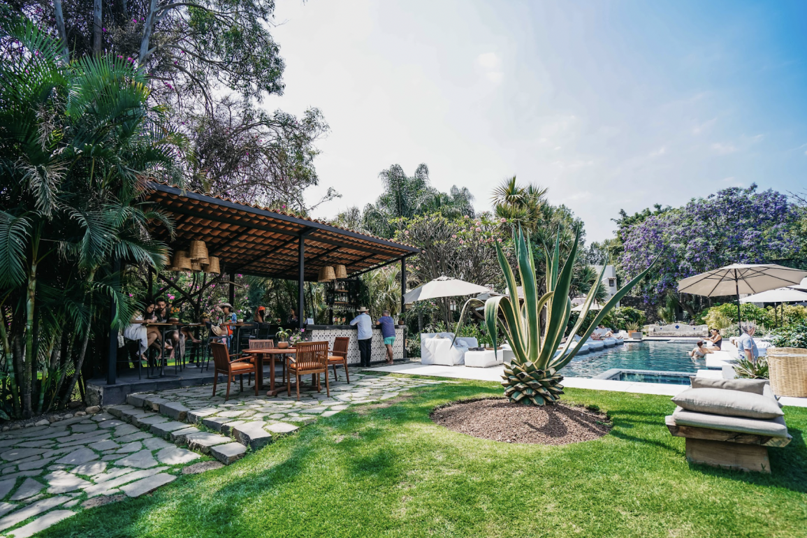 ¿Qué Significa ‘Wataa’? Descubre el Fenómeno Viral que Está Tomando por ...