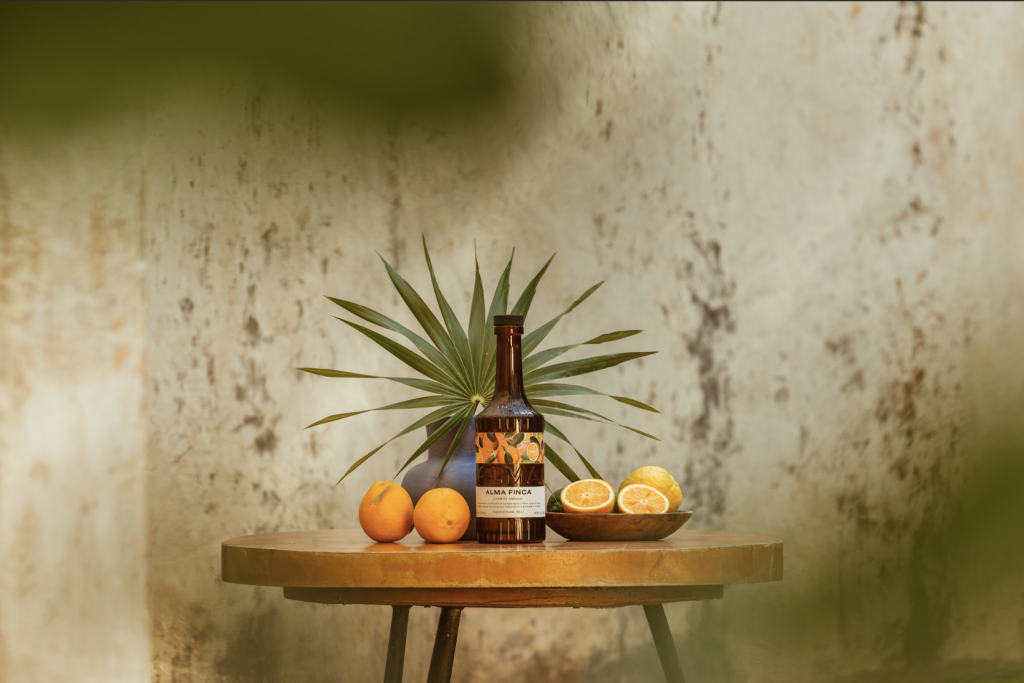 Shake That Citrus 2025: La Margarita vuelve a sus raíces… con todo el ...